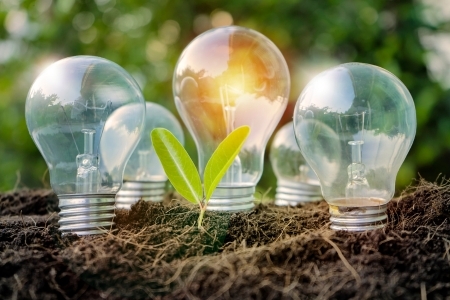 Everwood Capital cierra la venta del desarrollador de energías ...